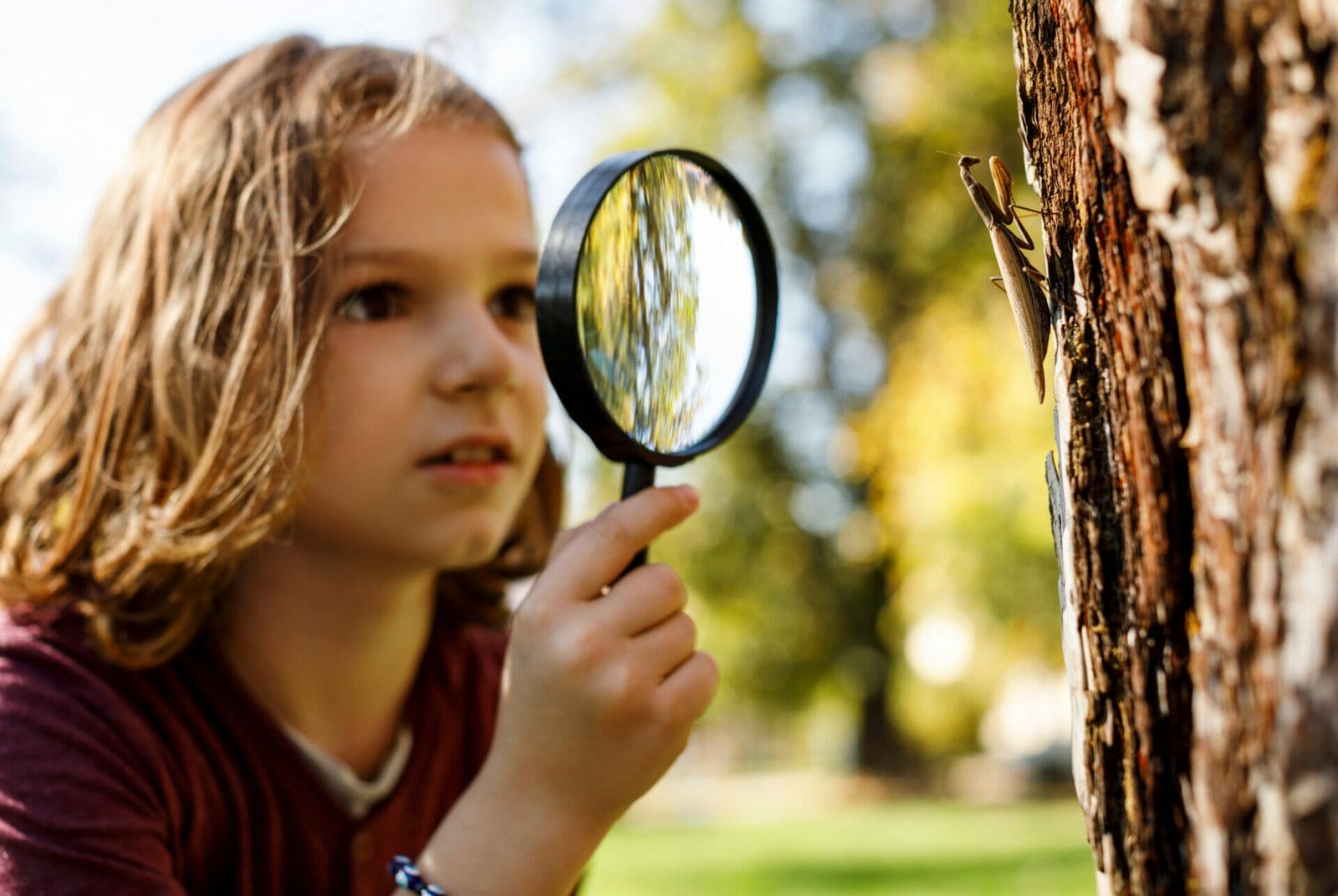 Animateur enfant : salaire, formation, rôle et compétence